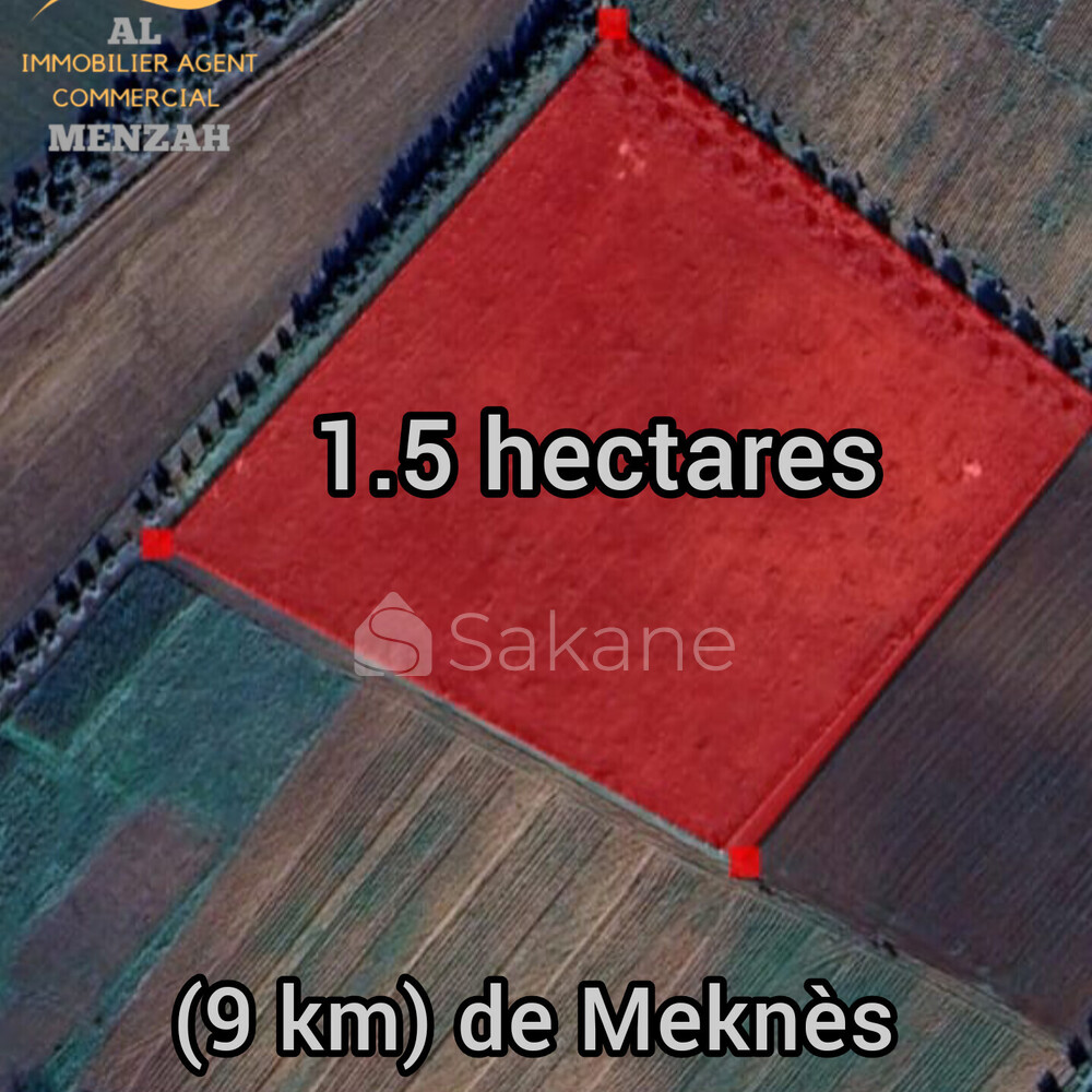 vente 1.5 hectares Meknès - Sakane
